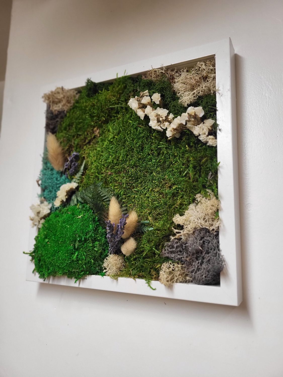 Moss Frames