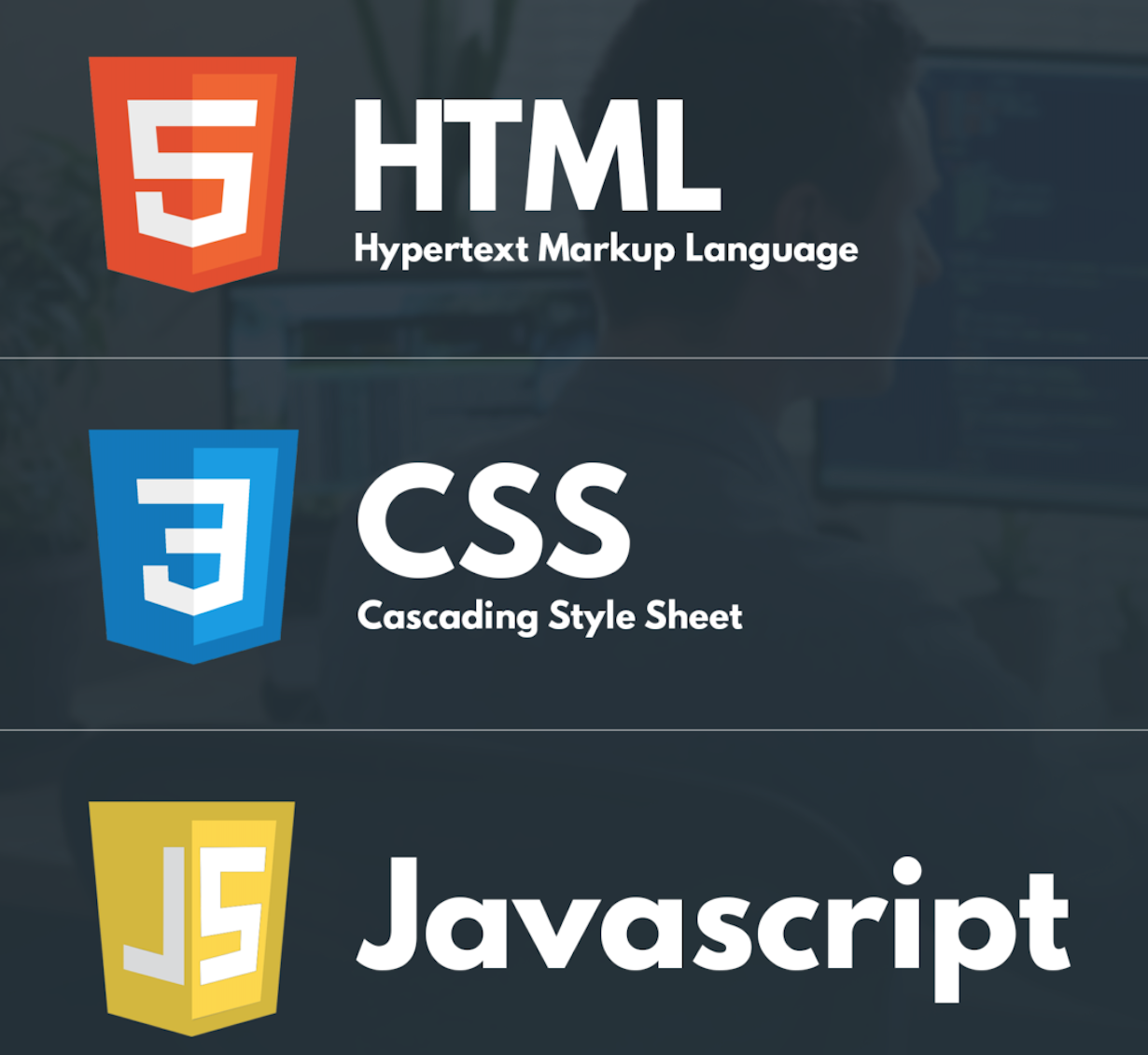 Programming Html Css Js