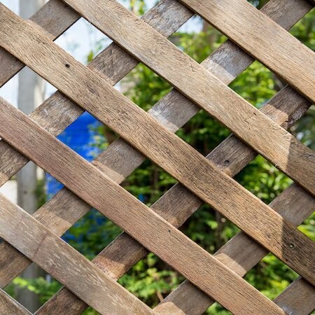 Treated Pine Lattice