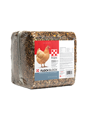 Purina Bird Blocks: Flock Block