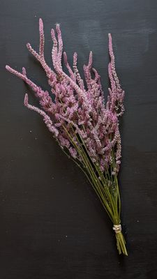 Black Shed Online Store