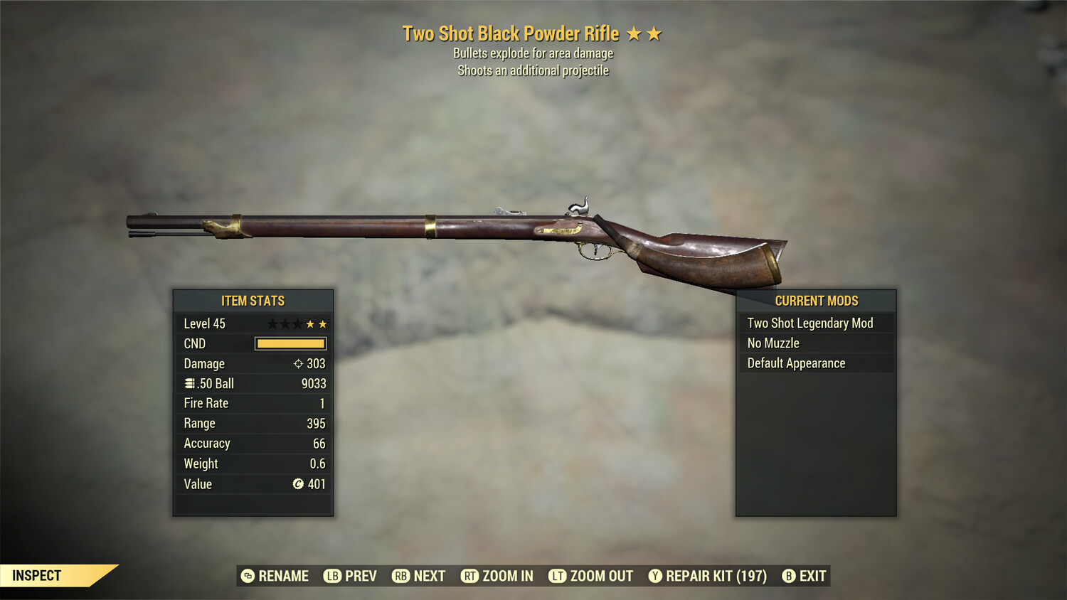 Two Shot Explosive Black Powder Rifle