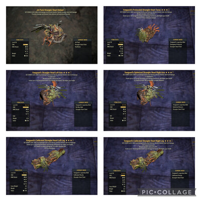 STRANGLER HEART AND T-65