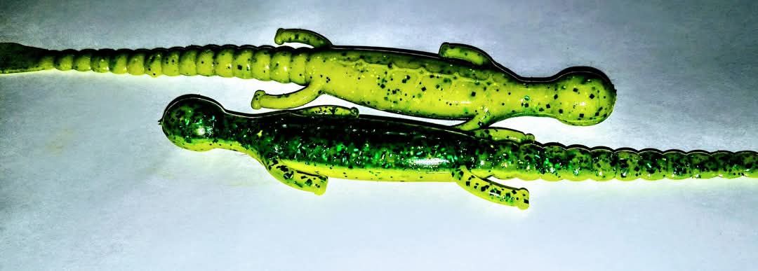 6" lizards laminates and floarters