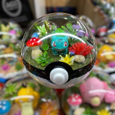 Pokemon Terrariums