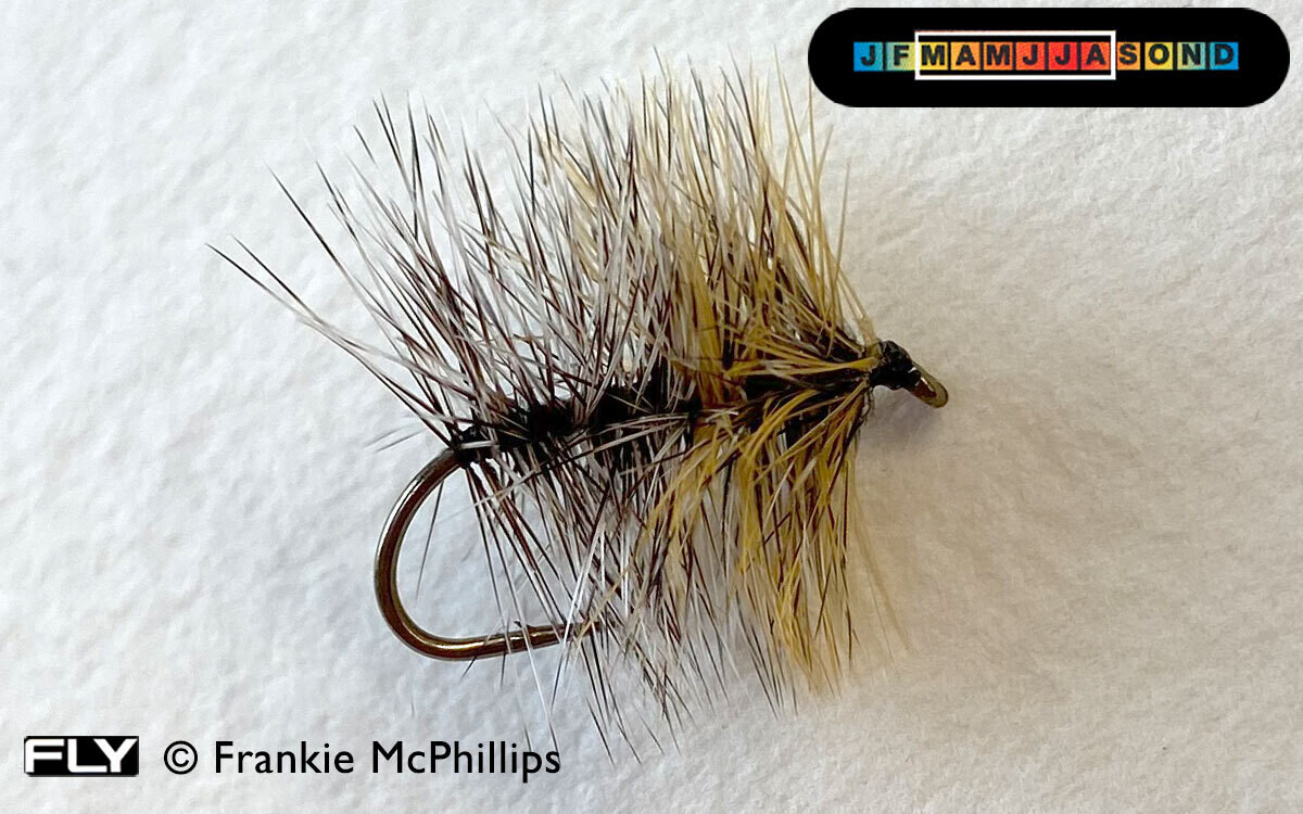 Welcome to Frankie Mcphillips | Irish Trout & Salmon Fishing Flies
