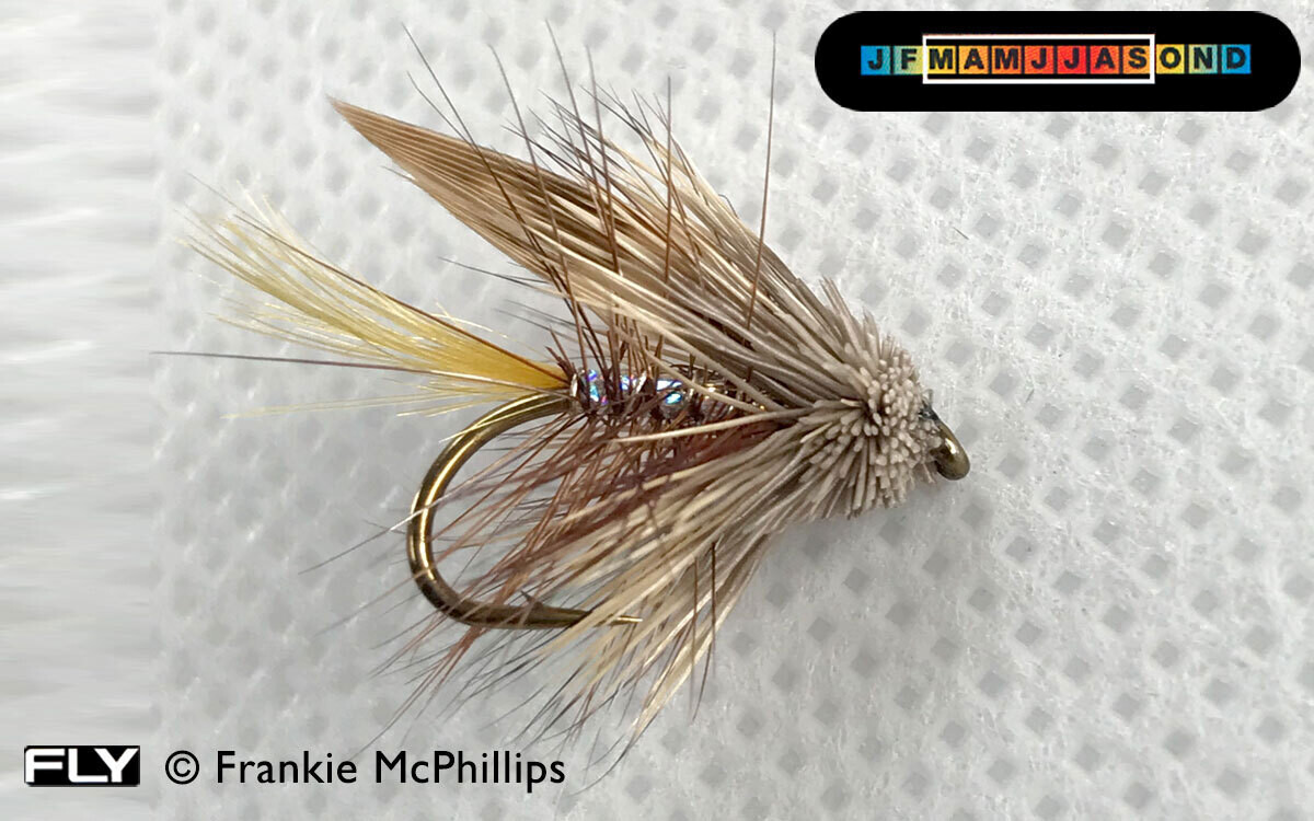 Irish Trout & Salmon Fishing Flies