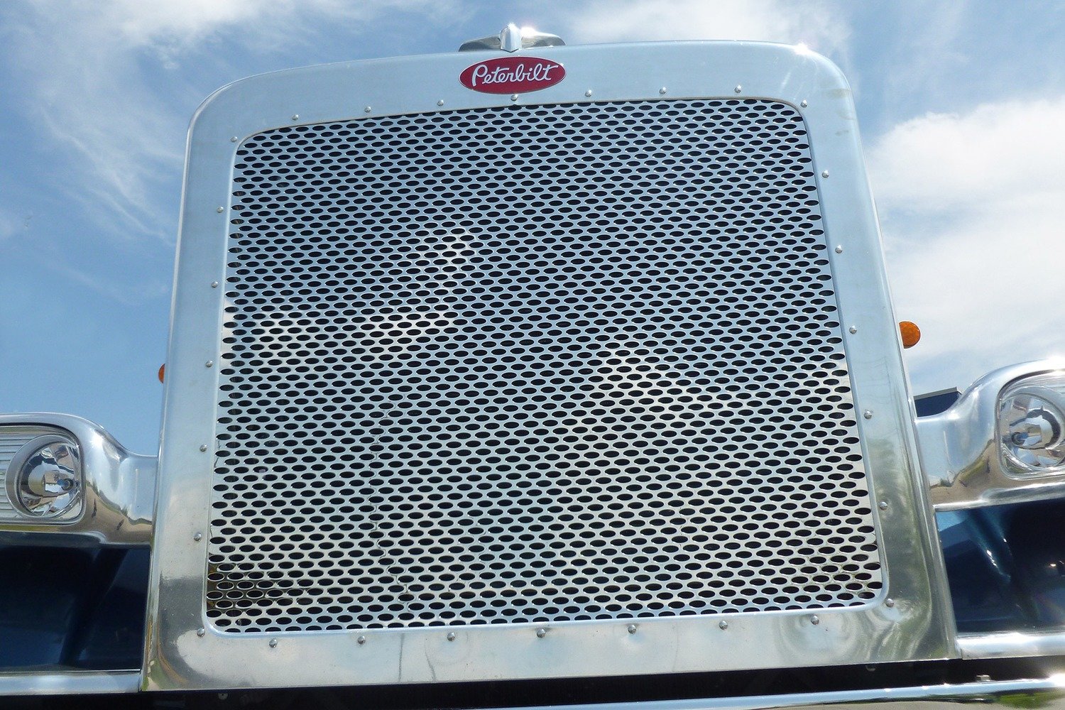 RoadWorks Manufacturing Punched Grille Insert for Peterbilt Model 388/ ...