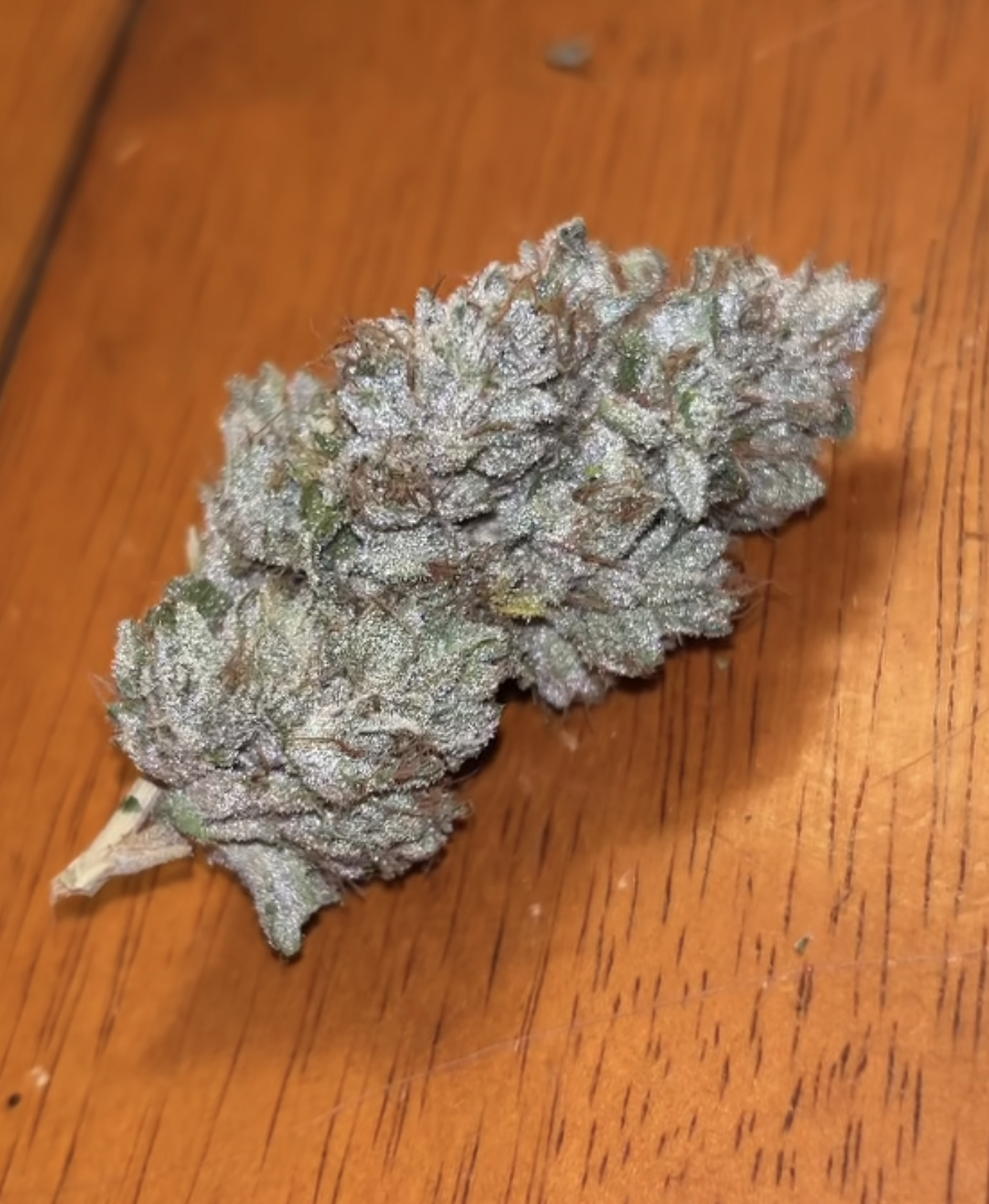 Triangle Kush Bx1 - 13 Regular Seeds - Mass Medical Strains