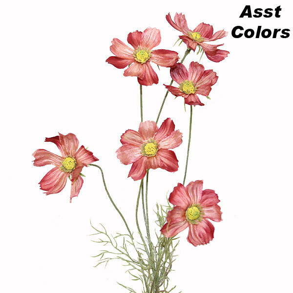 1B111 Cosmos, Asst | Timeless Charm