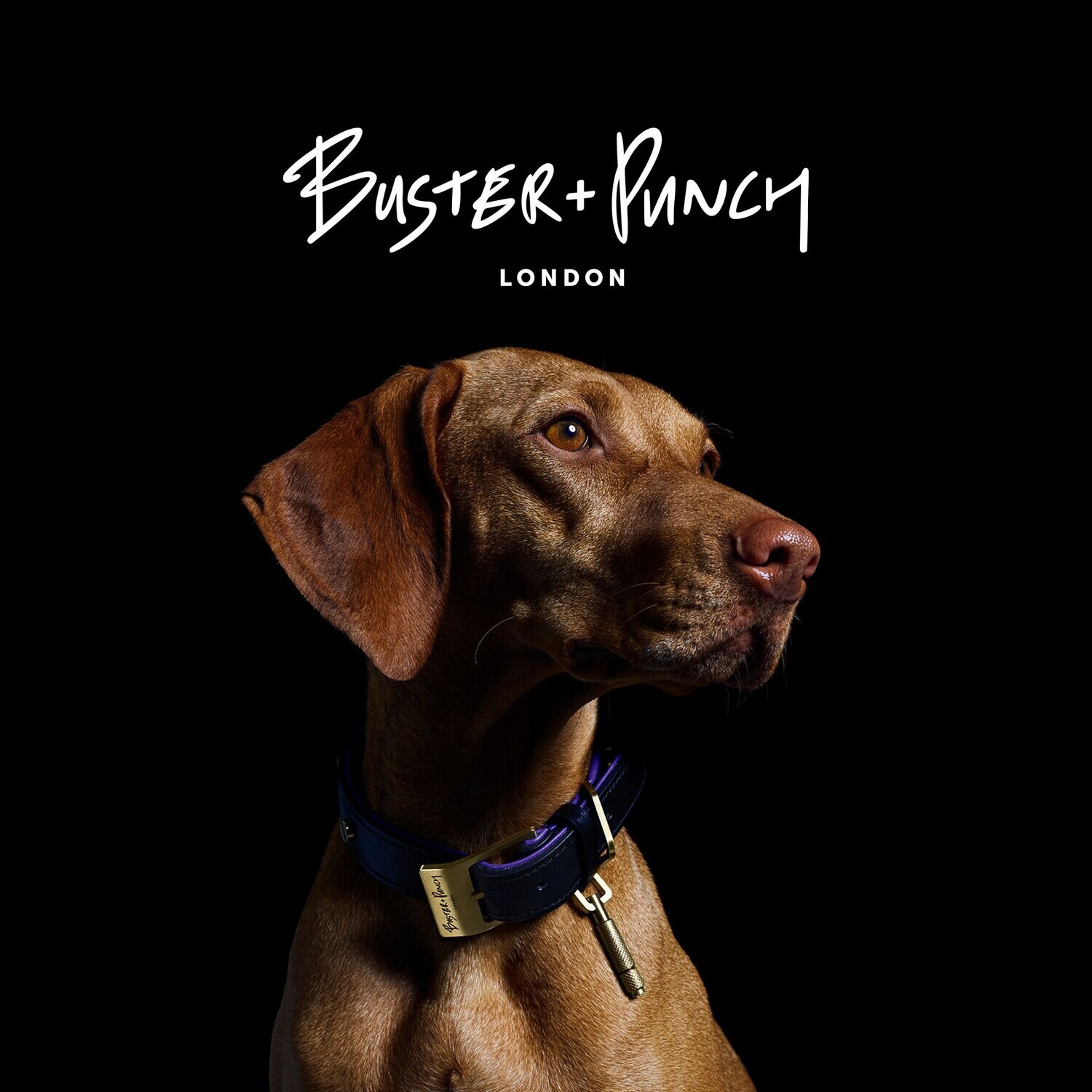 Buster + Punch - Store - The Ablaze Design Group