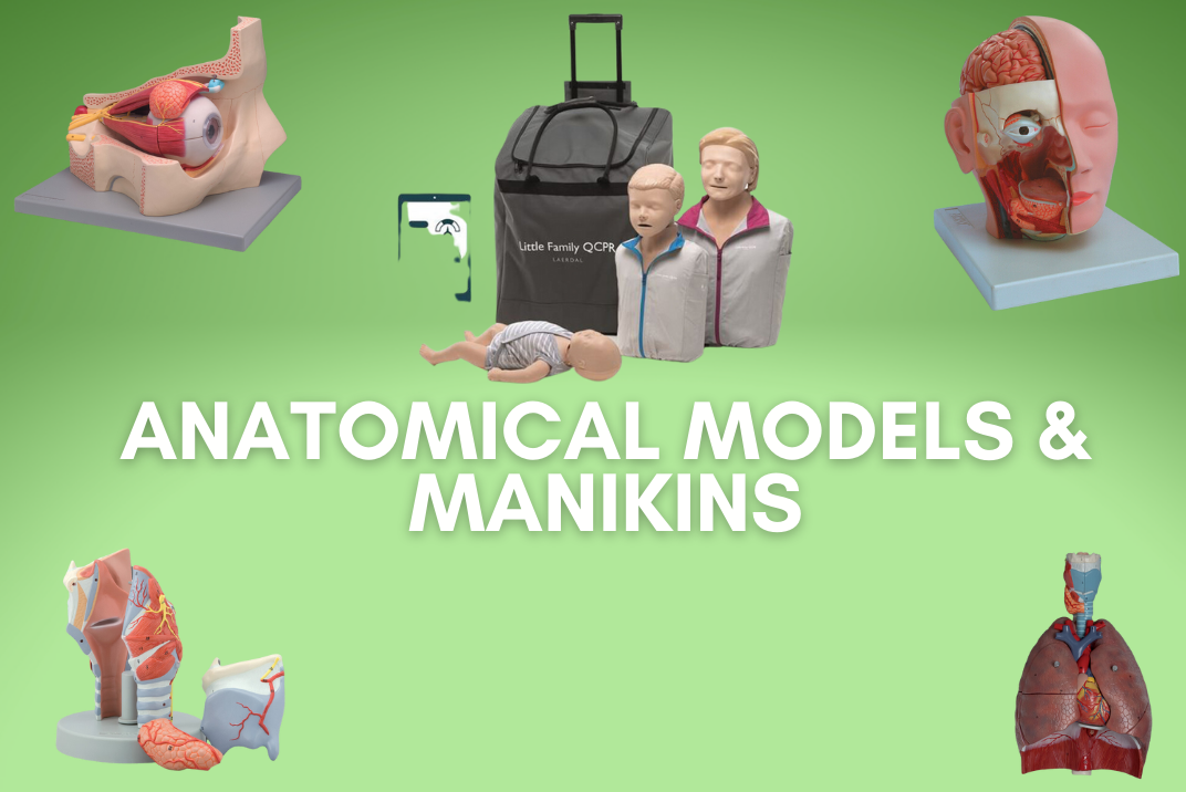 Anatomical Models & Manikins