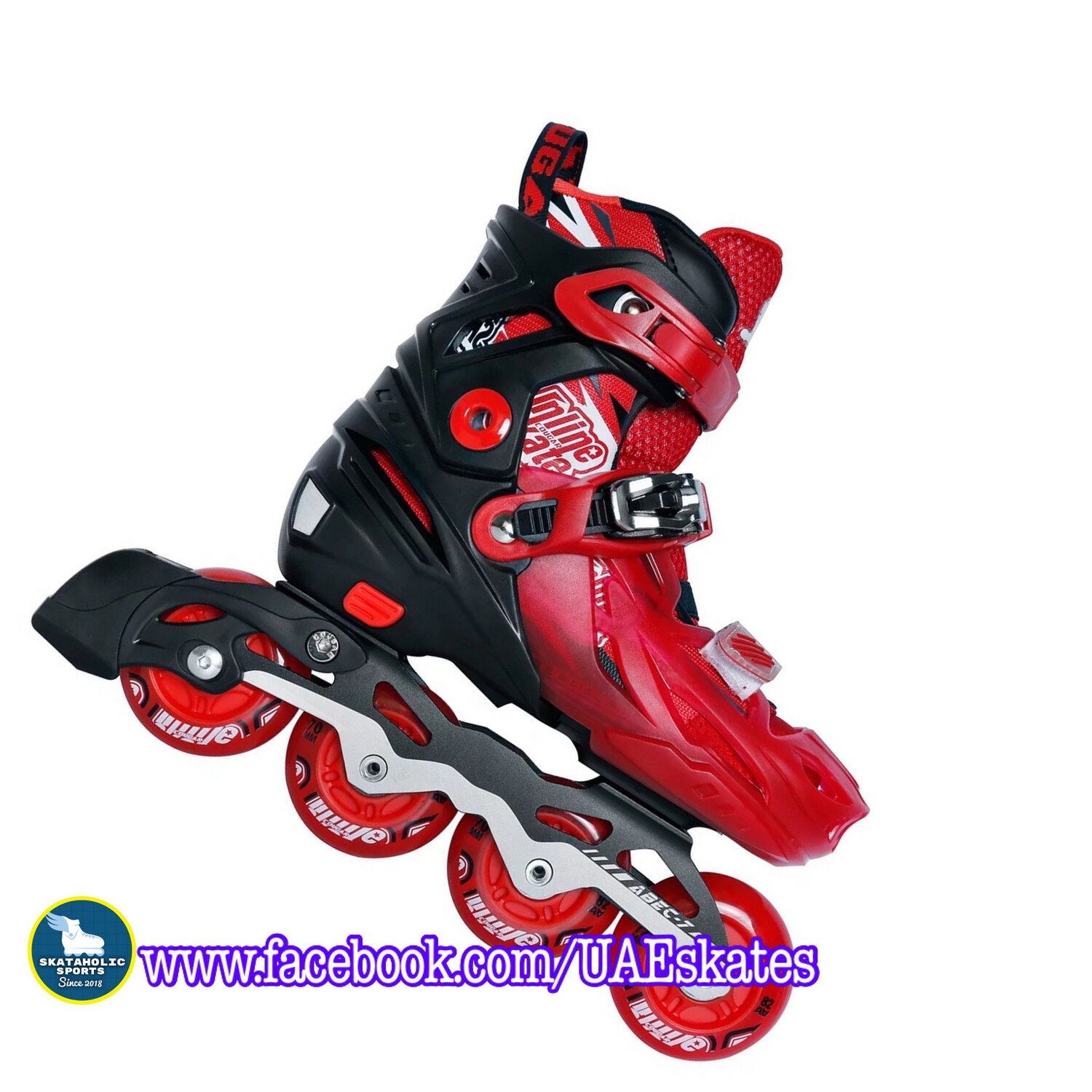 Slalom Skating | ppgbbe.intranet.biologia.ufrj.br
