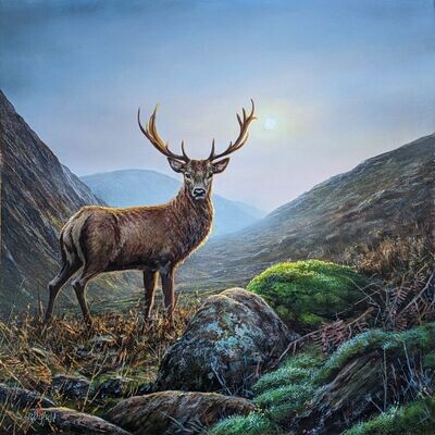 Richard Duffield