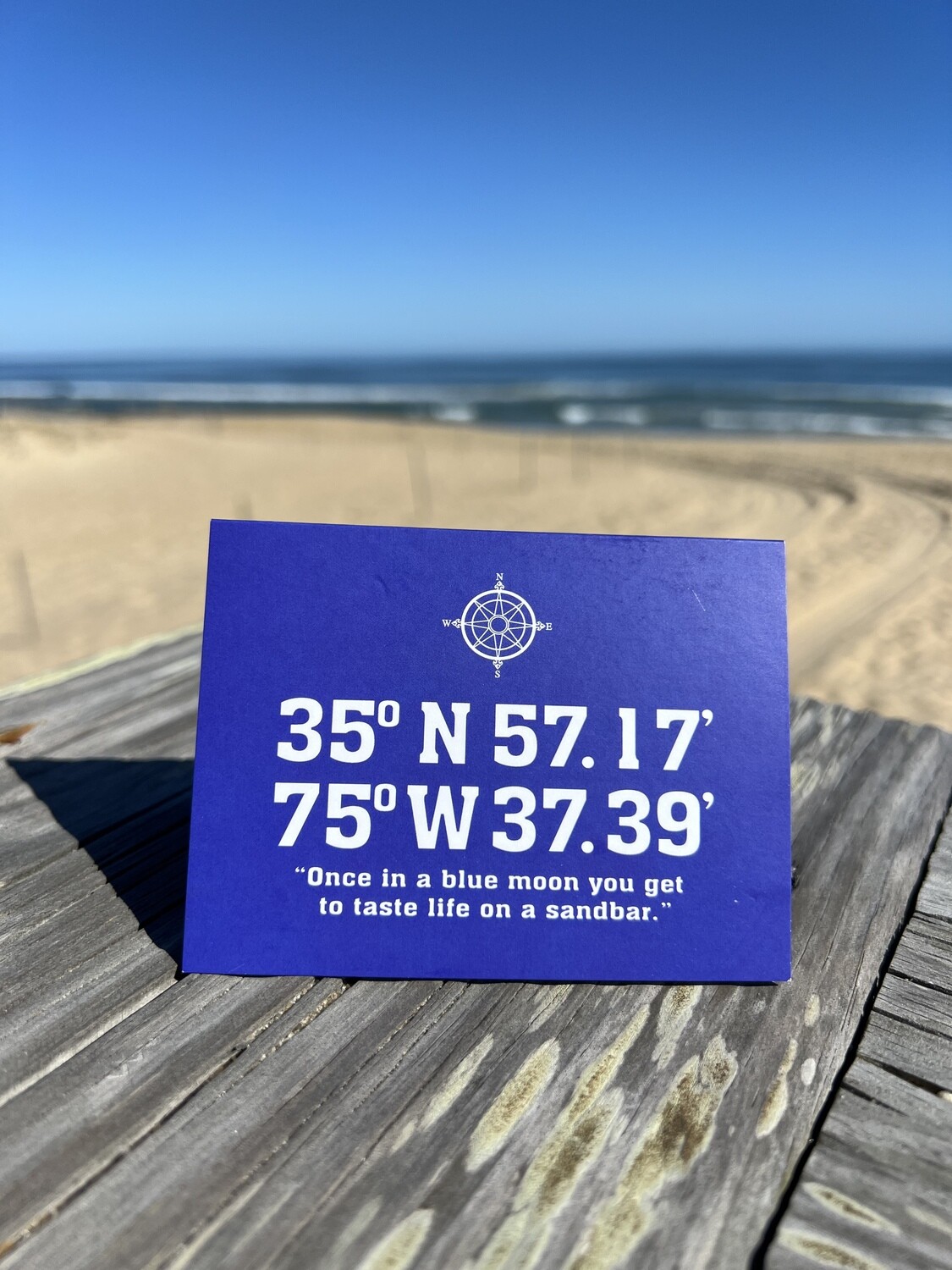 Shop - Blue Moon Beach Grill