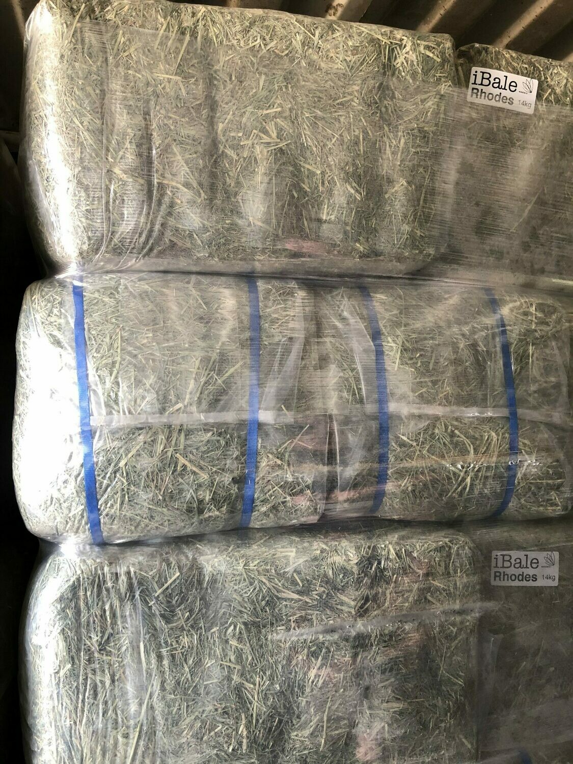 Rhodes Small Hay Bales - Shop - Cowaramup Agencies