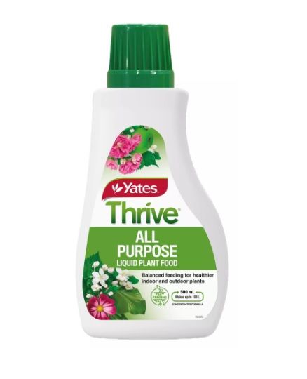 Shop - Cowaramup Agencies