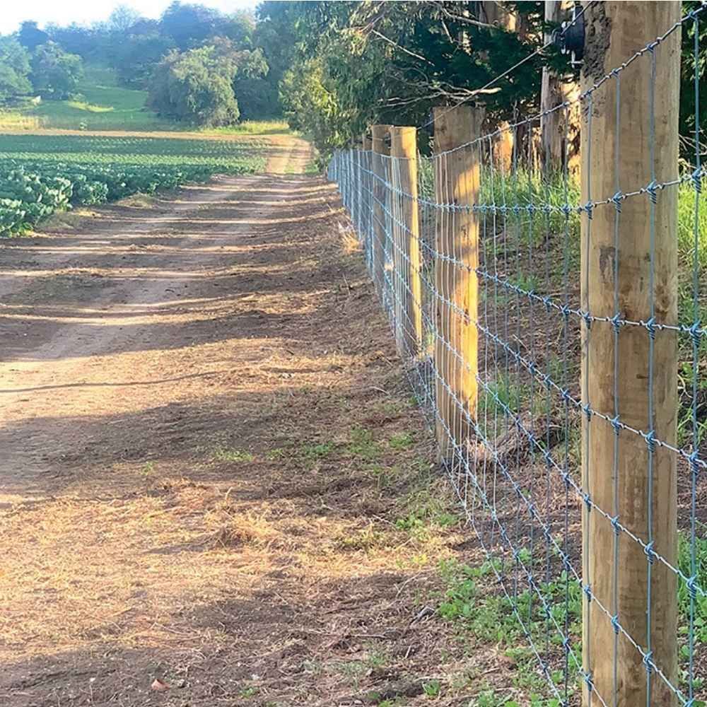 Fence Posts, Fencing & Gates | Fencing Accessories for Farms ...