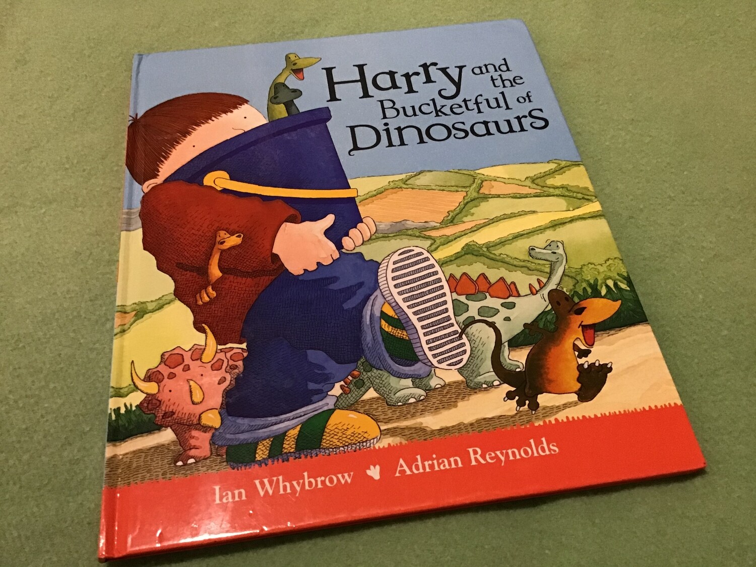 Harry and the Bucketful of Dinosaurs