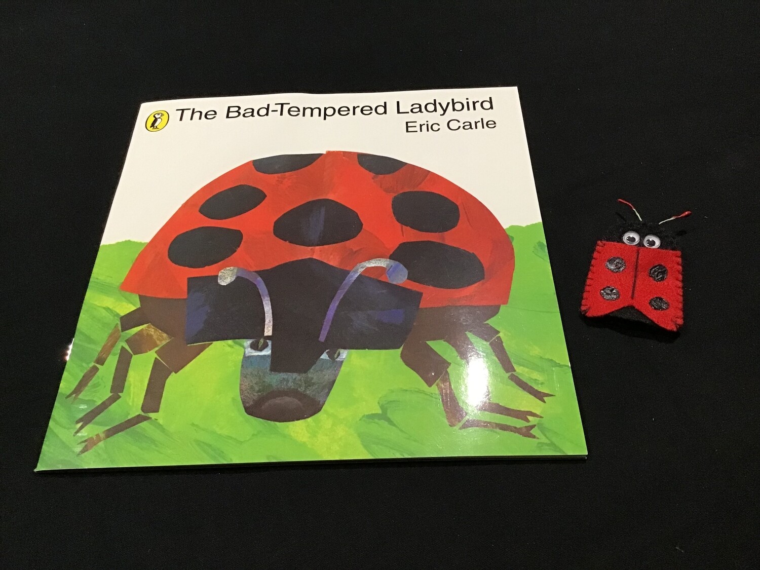 The Bad-Tempered Ladybird Story Bag