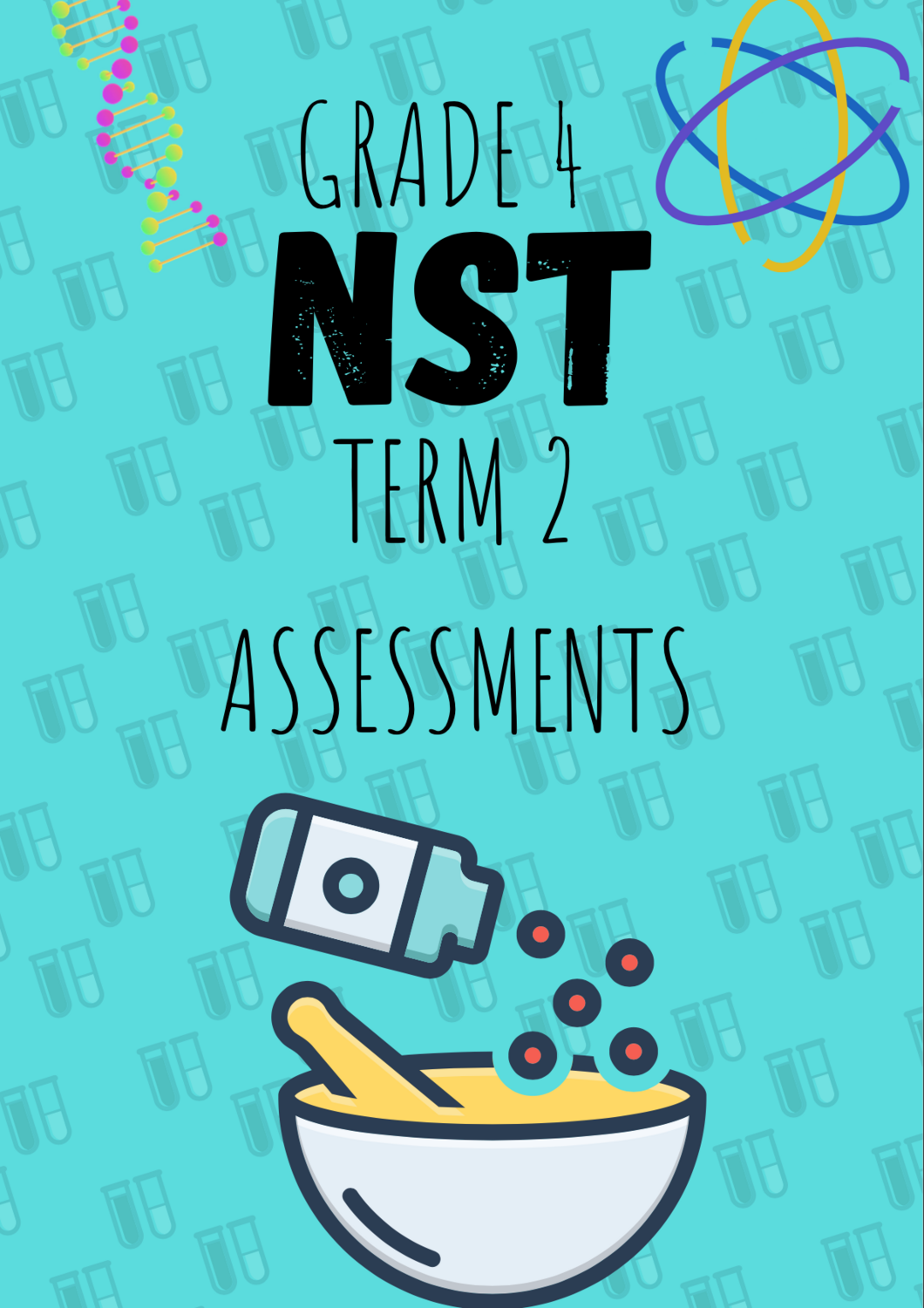 Grade 4 Natural Sciences term 2 assessment