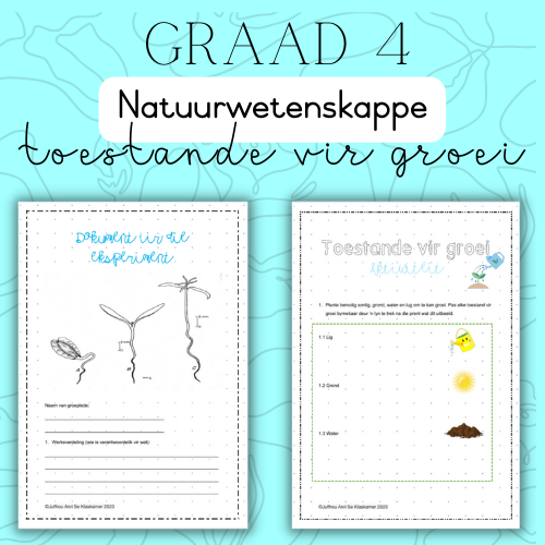 Graad 4 NW Toestande vir groei