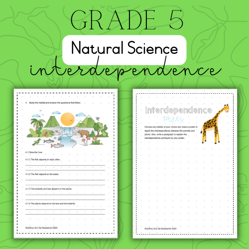 Grade 5 NS Interdependence