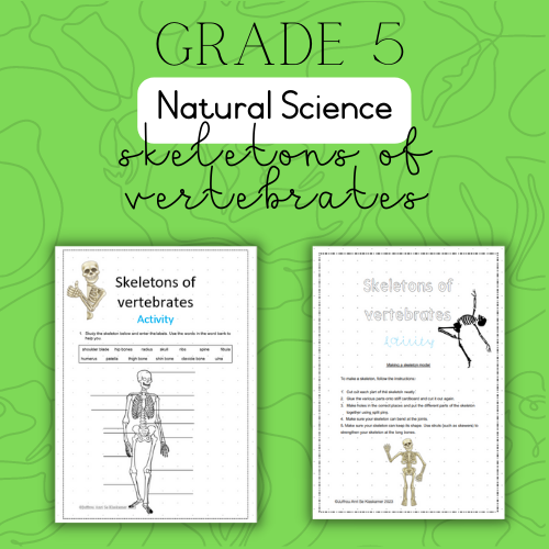 Grade 5 NS Skeletons of vertebrates