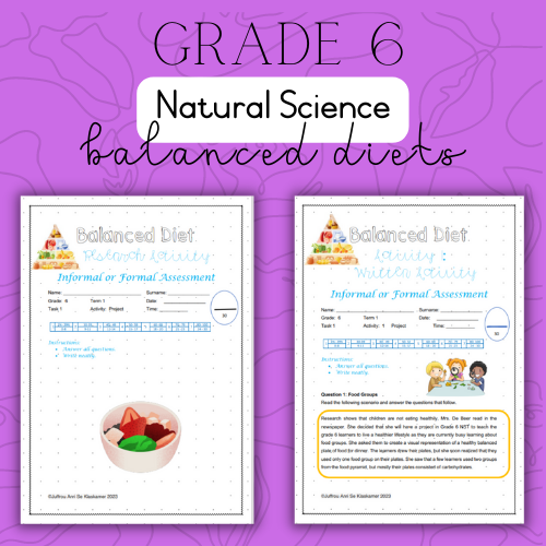 Grade 6 NS Balanced diets