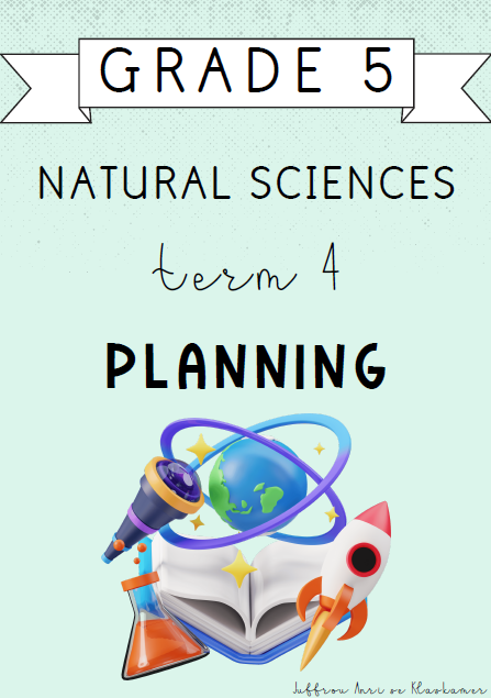 Grade 5 Natural Sciences Term 4 Planning (2024)
