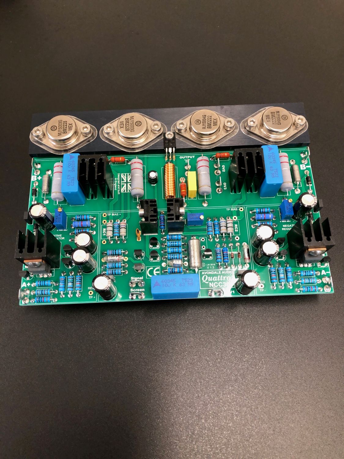 NCC300 Power Amplifier Modules (Pair) – AVONDALE AUDIO – Bringing Music ...