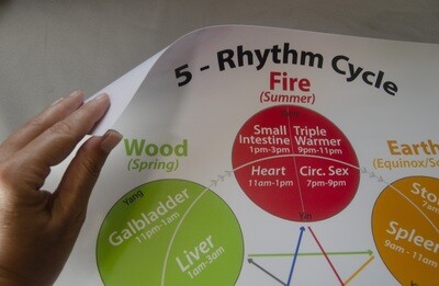 Store | Energy SOCK-ettes