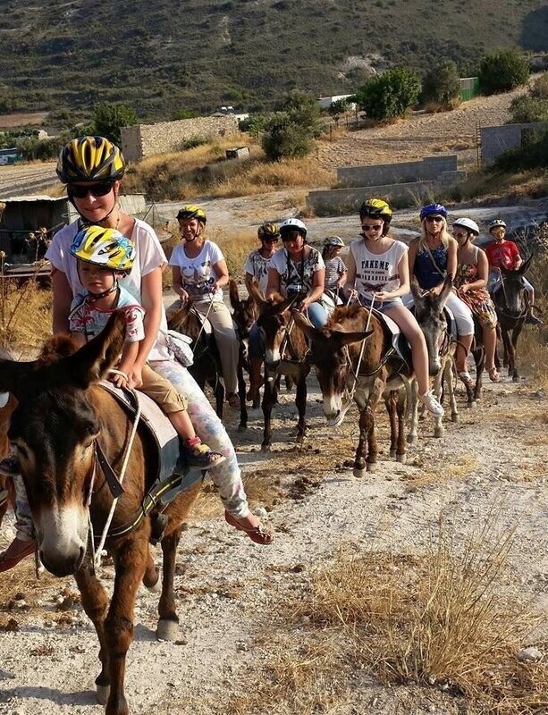 Donkey safari and Cyprus Night from Ayia Napa Protaras