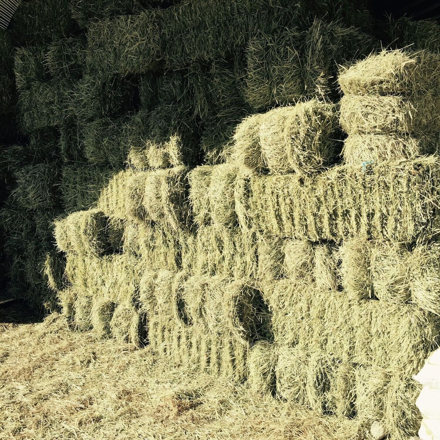 Cattle Feed & Hay (Local Orders)