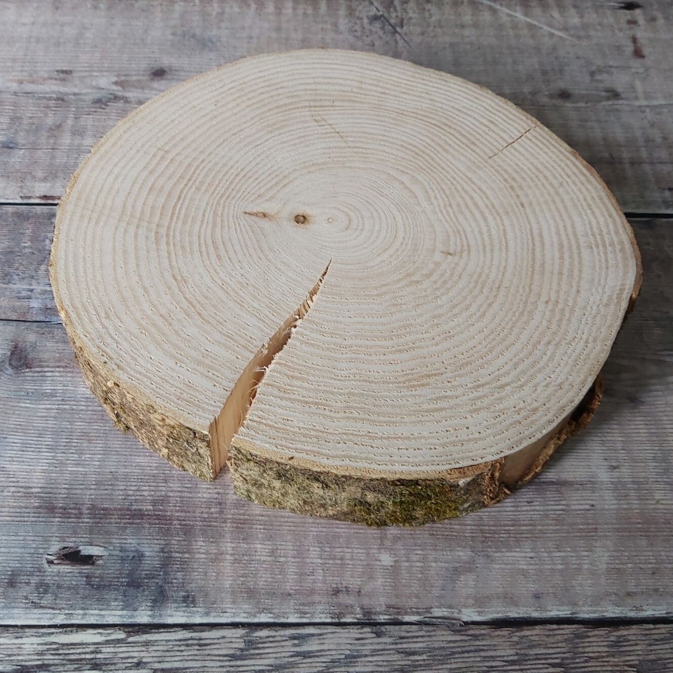 Chunky split 19cm large wood slices