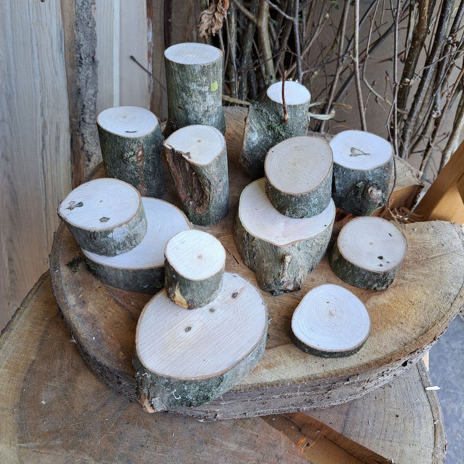 Set of 14 chunky maple logs/slices