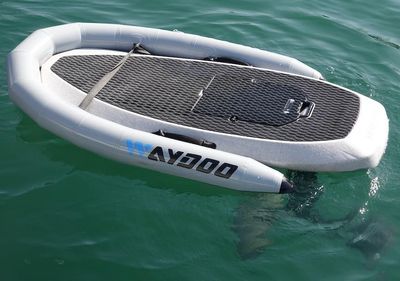 WAYDOO Germany efoils