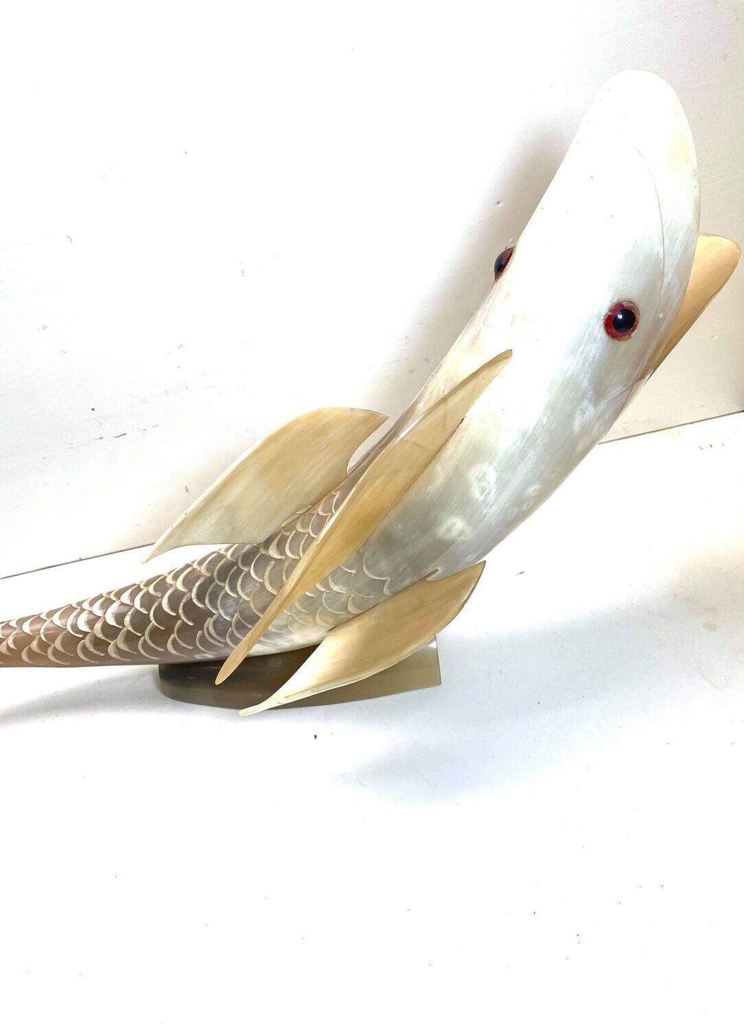 Poisson en corne veritable