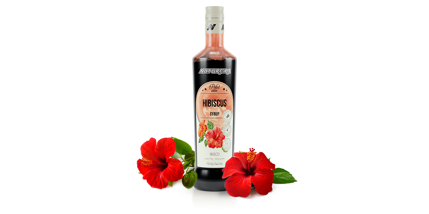 Naturera Polot 1882 Syrup Lychee
