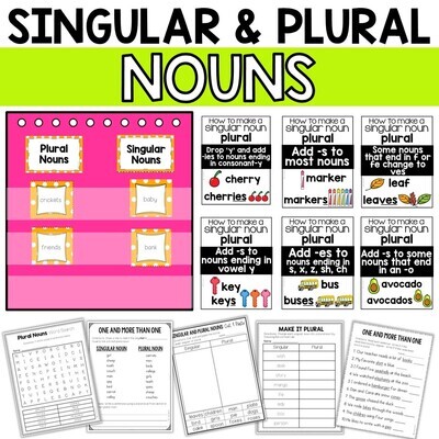 Singular and Plural Nouns Activities Worksheets Sort Center Rules ...