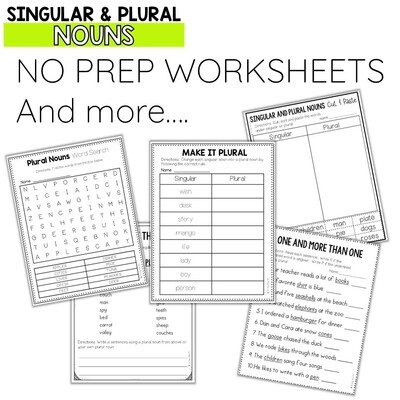 Singular and Plural Nouns Activities Worksheets Sort Center Rules ...
