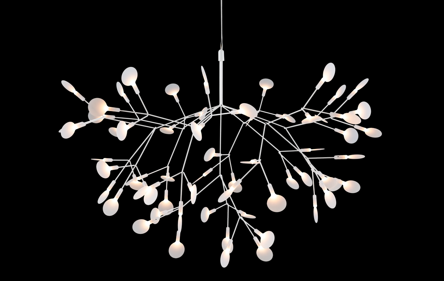 moooi Heracleum III Pendelleuchte