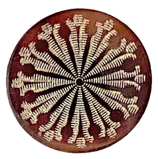A 19TH CENTURY ENGRAVE PINNA SHELL BUTTON