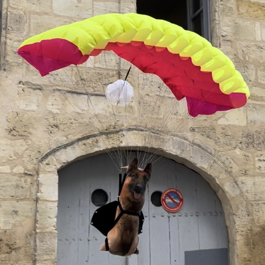 NEON Toy Mini Parachute Small Scale wing parachute for