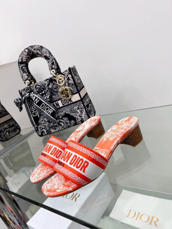 Dior Slides