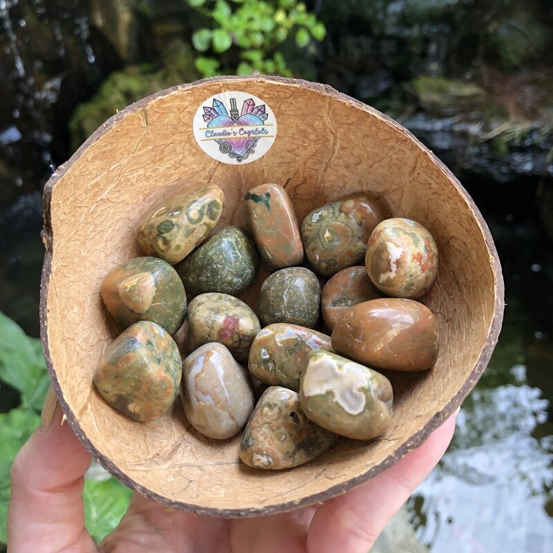 RAINFOREST RHYOLITE - (Lg)