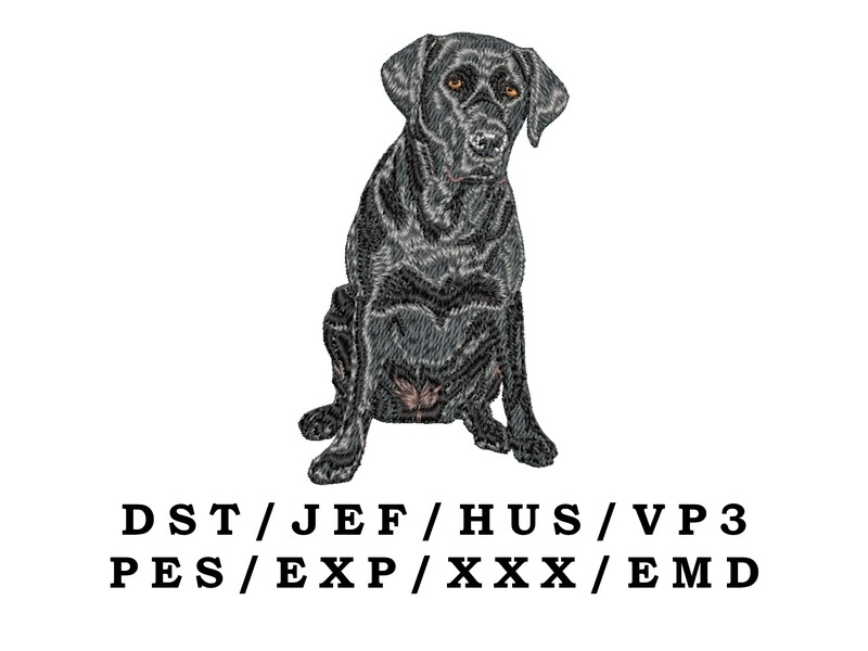 Black Labrador Retriever Machine Embroidery Design: Elegant Sitting Pose