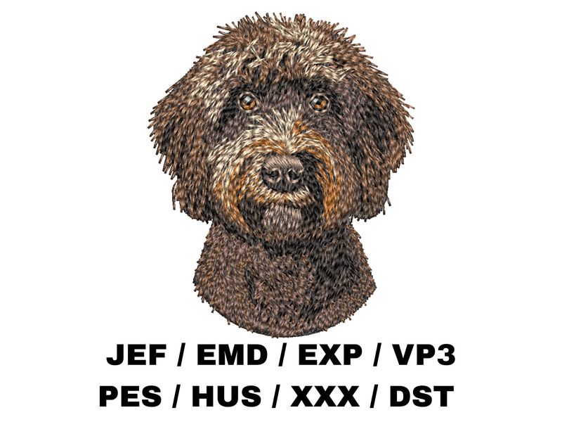 Adorable Goldendoodle Embroidery Design