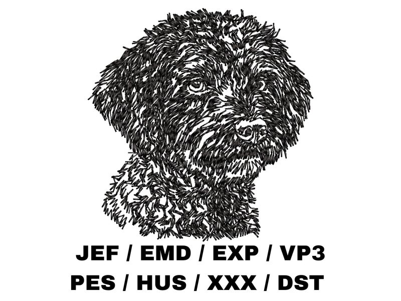 Lagotto Romagnolo Face Outline Design