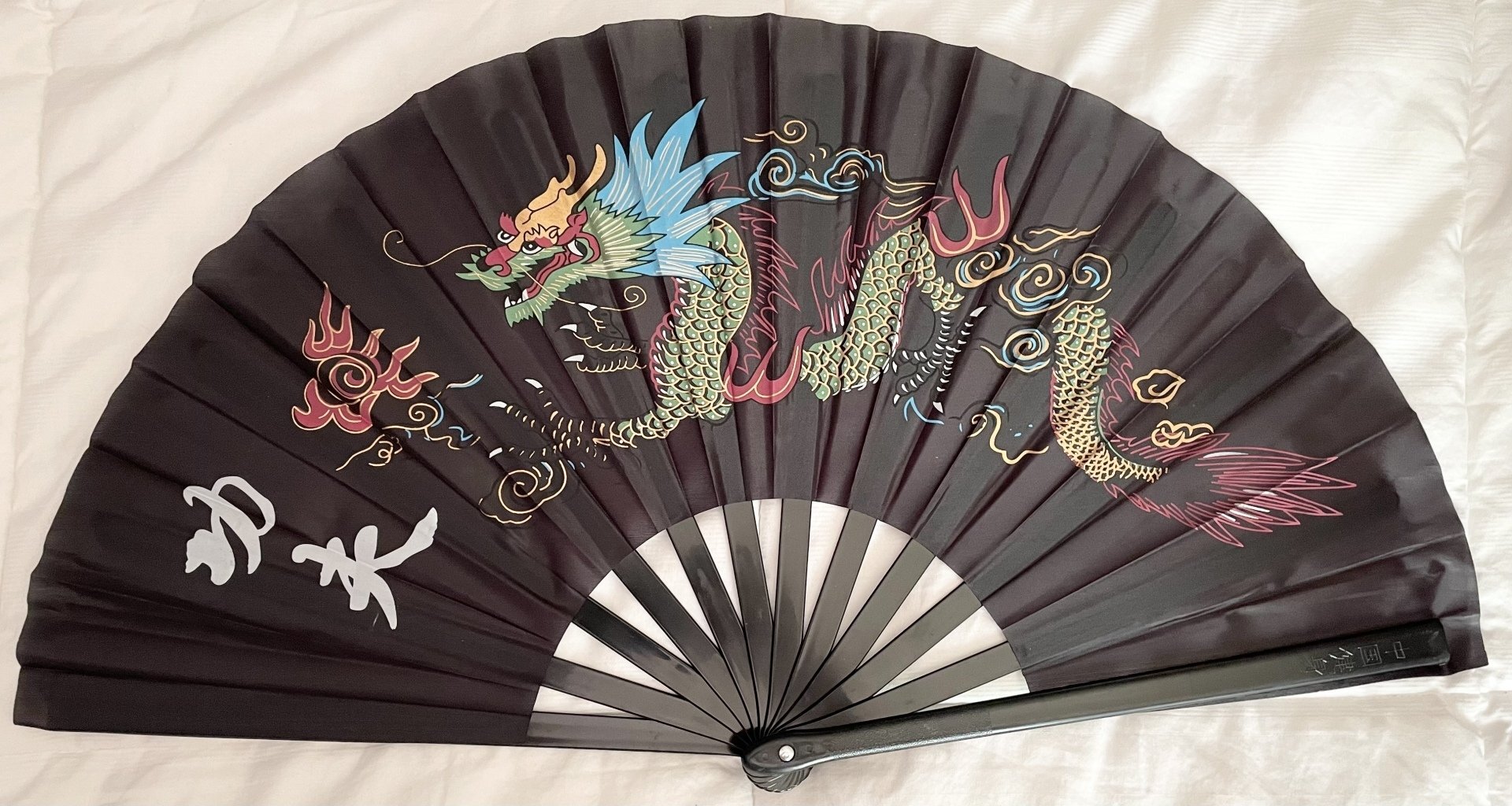 Chinese Fan Dragon